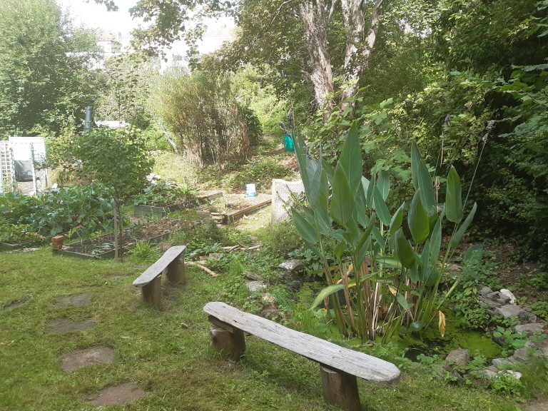 Wellbeing with Nature Course – Wellspring Settlement